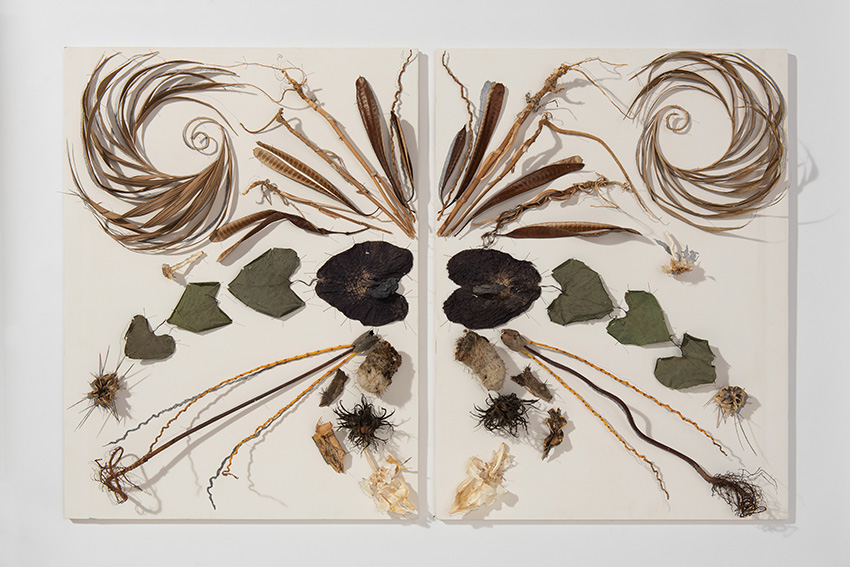 Wall Flow(er) - Diptych - Carnivorous Plant - Freshpaint Special ...